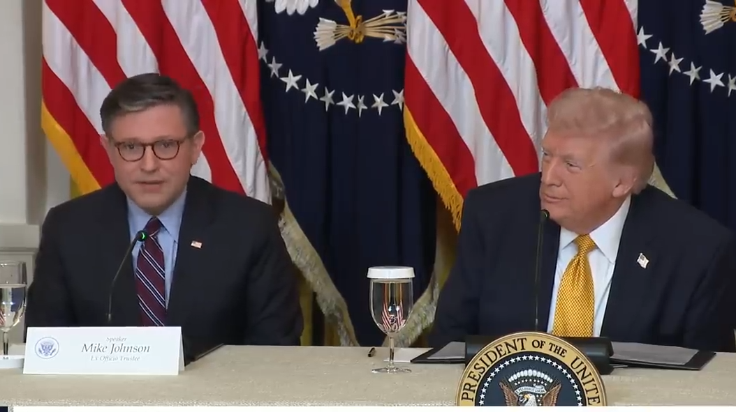 'Okay, that wasn't public': Mike Johnson winces as Trump eagerly talks ...