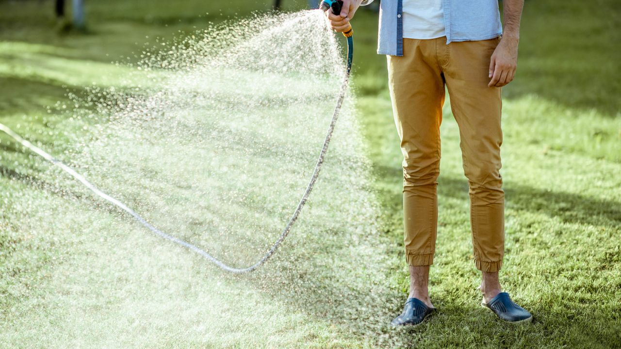 Gardeners reveal why you should stop watering your lawn every day