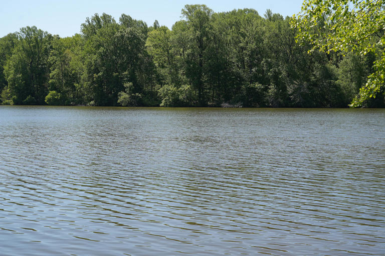5 day trips to take in June without leaving Delaware