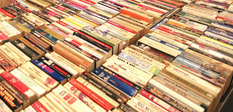 Hamlin Public Library summer book sale brings $1 books, puzzles and DVDs