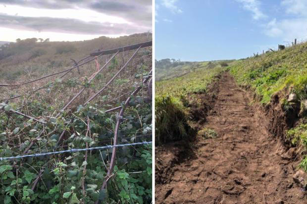 Blocked coastal path reopened after decades as campaigners force ...