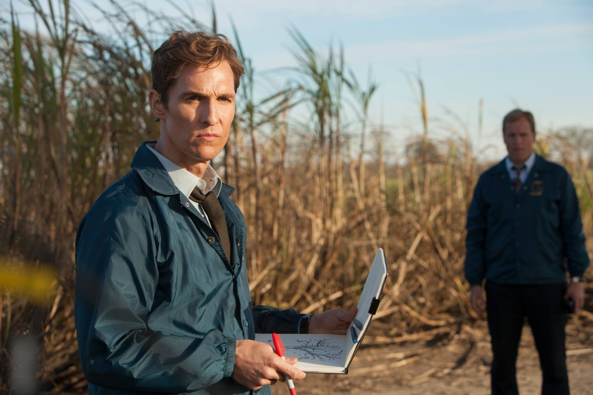 20 TV shows that started strong but lost fans along the way