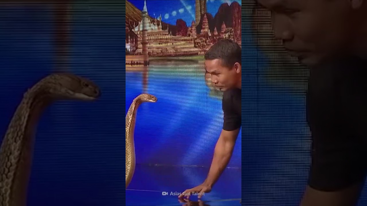 Learn the deadly facts behind the Abu Zarin snake attack
