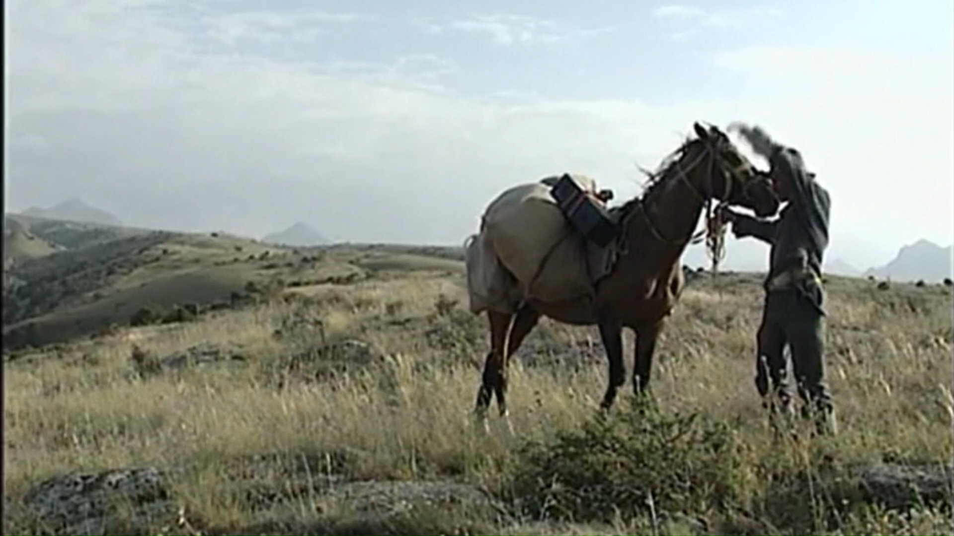 Steppe climate