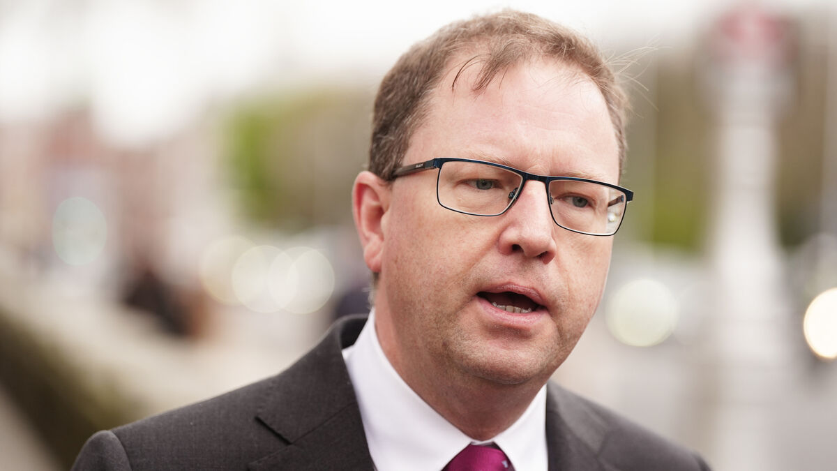 Student fees will only go down under government, says minister