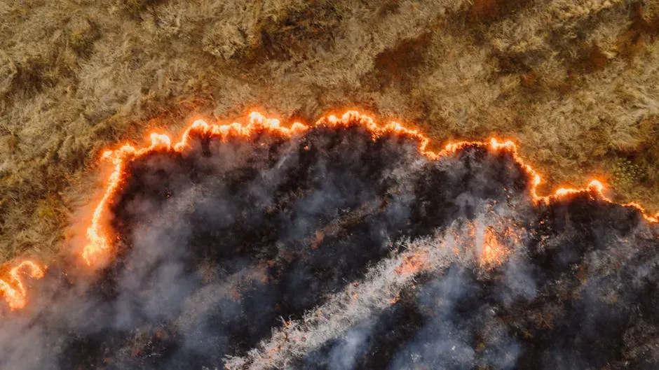 What El Niño actually does - in plain English