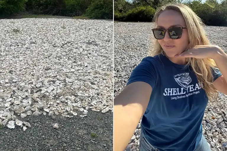 She started collecting oyster shells from restaurant kitchens every ...
