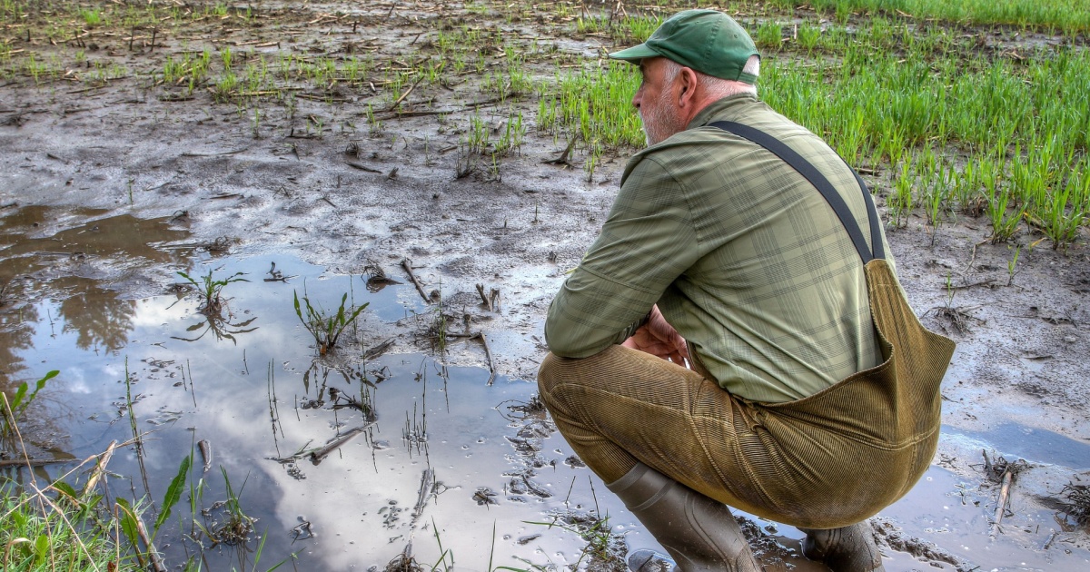 Study finds something weird and worrying is happening with rain