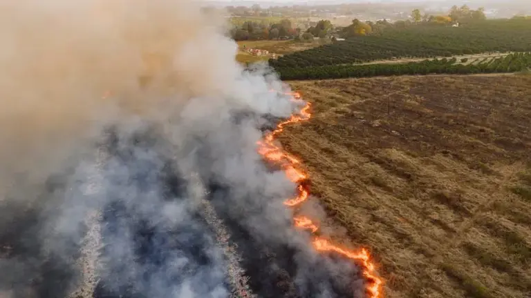 Maps reveal the parts of the US most vulnerable to future wildfires