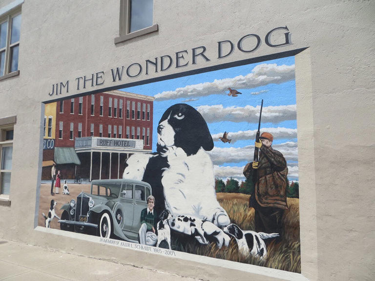 Jim the Wonder Dog responded to Morse code, and scientists couldn’t ...