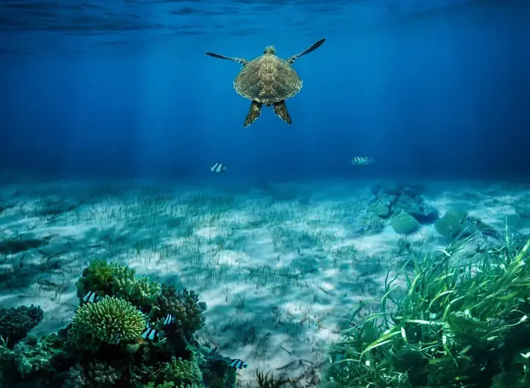 Why I no longer visit Playa del Carmen - and the alarming issues ...