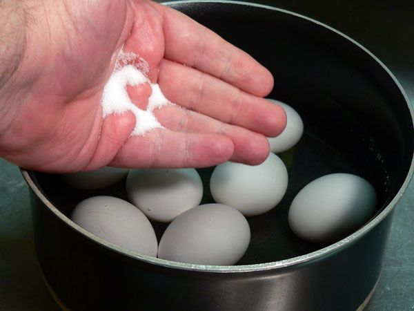 Coba tambahkan garam saat rebus telur ayam, jangan heran hasilnya