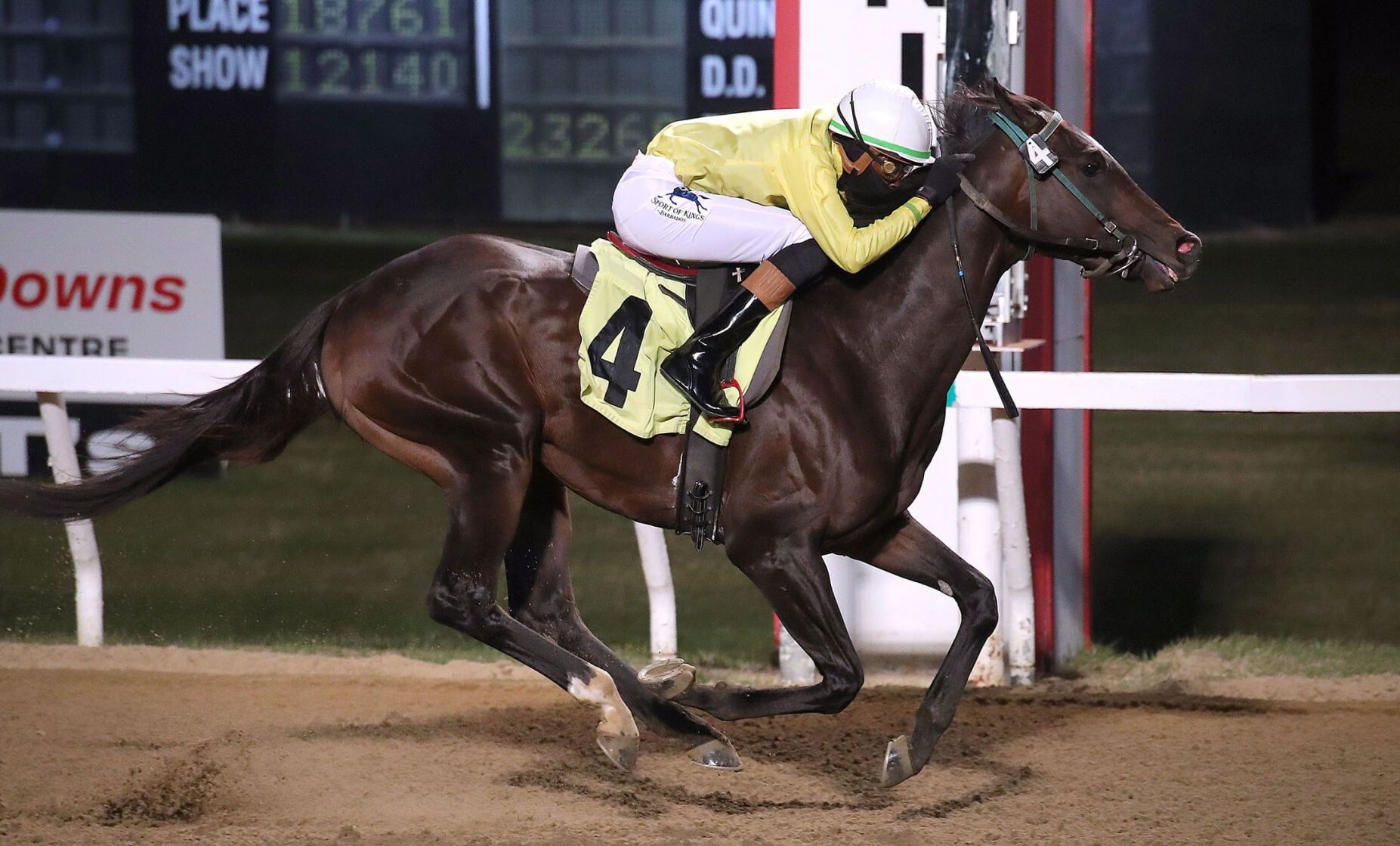 Pat Beavis: The thrill of thoroughbred racing