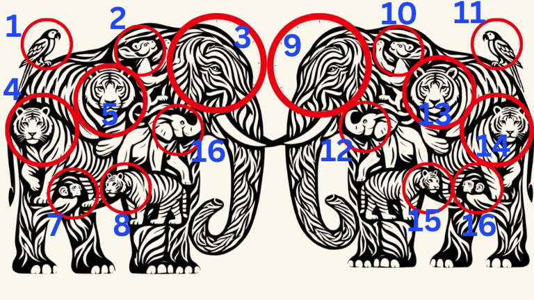 How many animals can you count in this jungle artwork optical illusion?