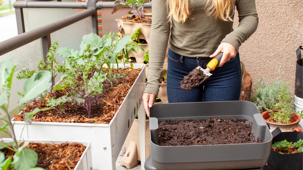 You can have a homestead in your apartment – here’s how