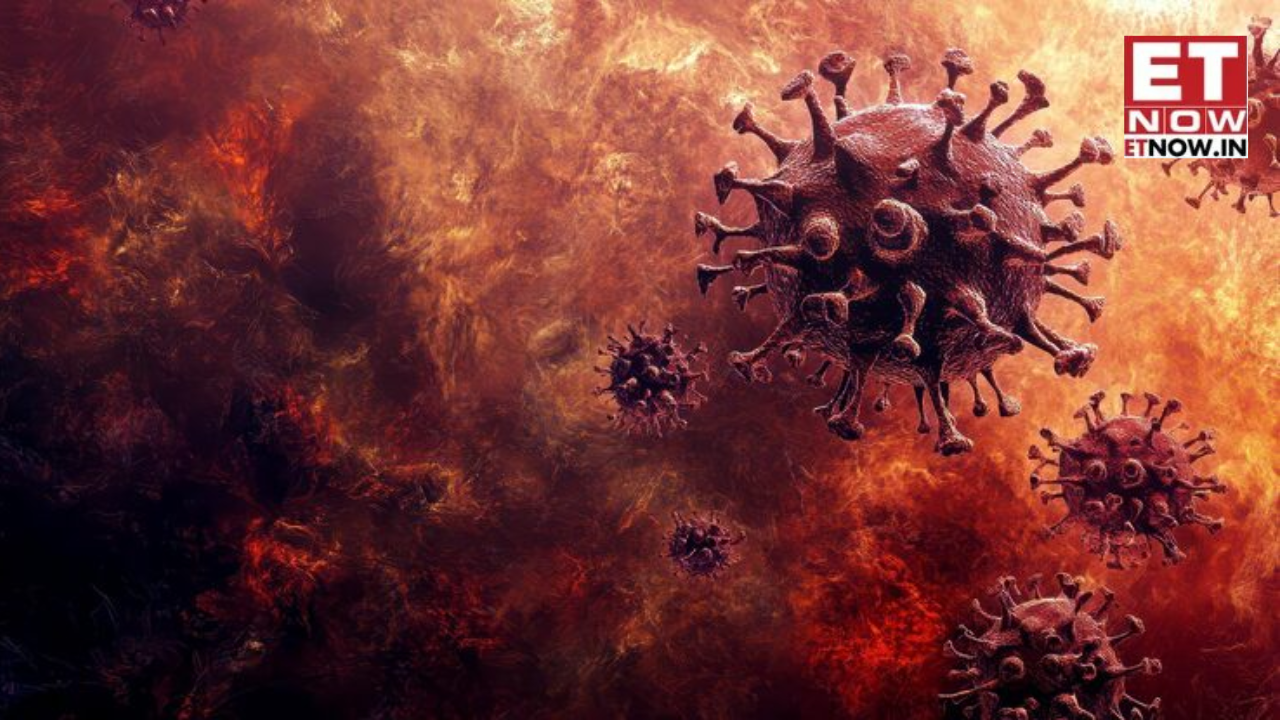 Why WHO declared Ebola outbreak in DR Congo and Uganda a global health ...