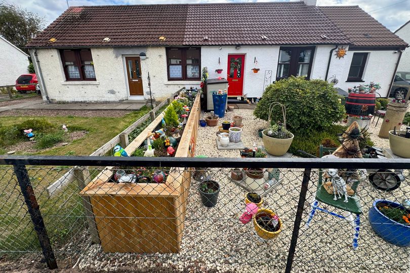 Neighbours in bizarre planning row over widow's planter end up in court
