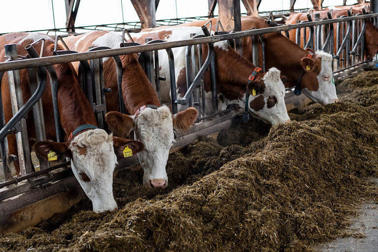 Quebec will reimburse farmers for carbon costs