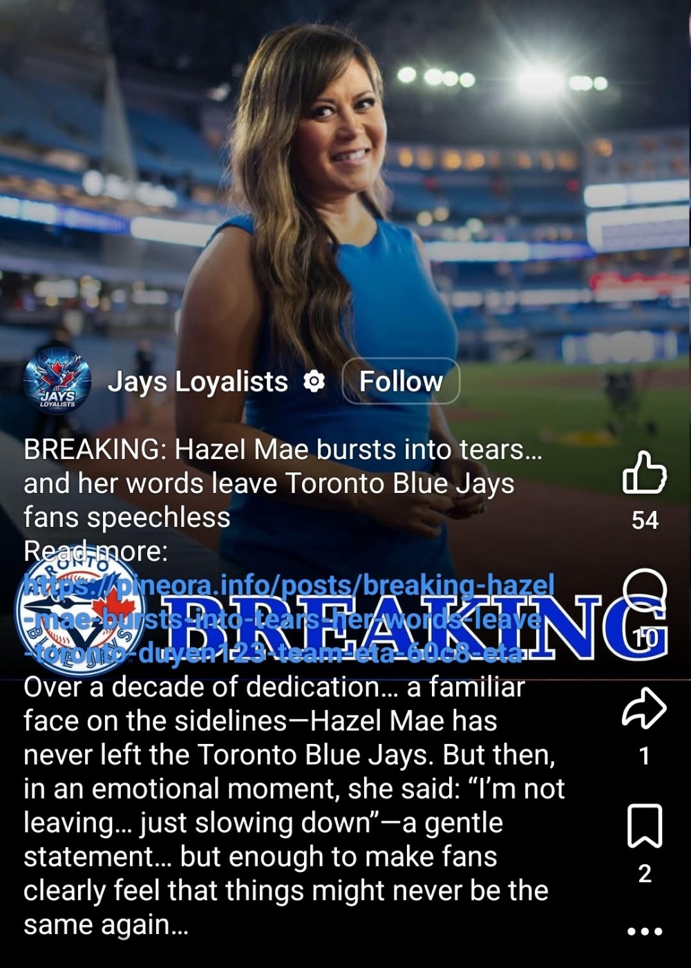 Toronto sports fans can't escape fake news on social media
