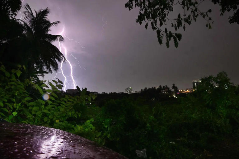 Lightning kills 30 sheep in Nagarkurnool
