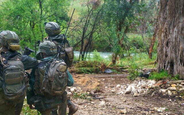 IDF reserve soldier killed, 7 wounded by Hezbollah explosive in ...