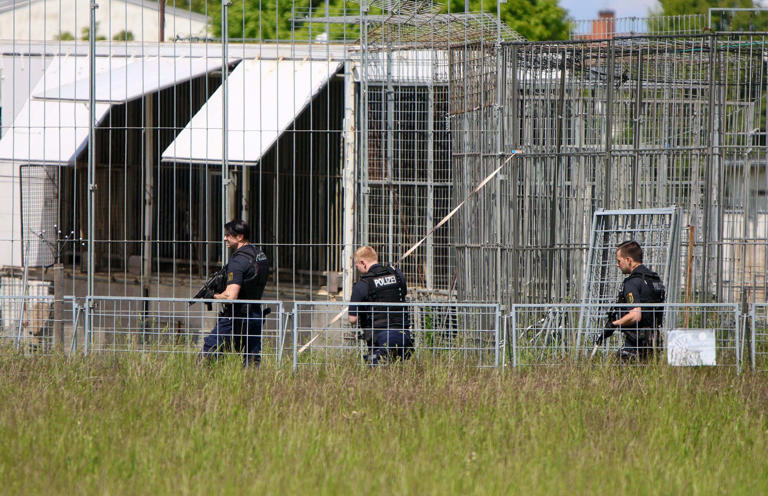 German police kill escaped tiger, one animal handler seriously injured
