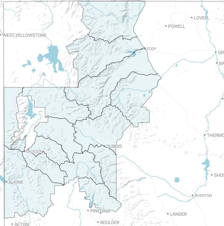 Wyoming cuts wolf hunt in half to buoy Yellowstone region’s disease ...