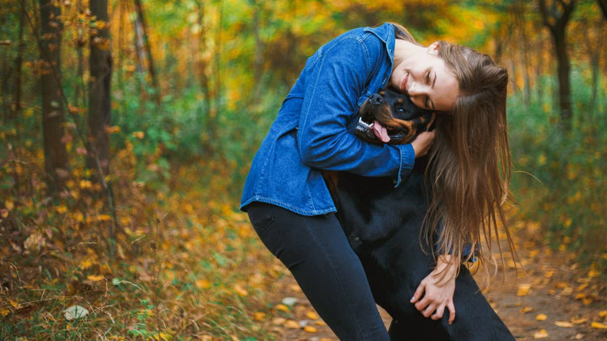 A clingy rottweiler's unexpected spa day has the internet in stitches