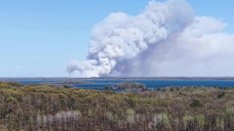 Man accused of shooting at wildfire aircraft claimed he was shooting at ...