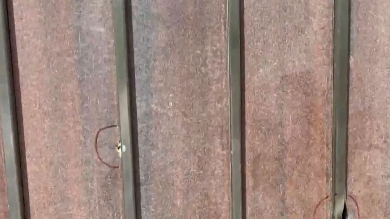 Jalandhar: Gunshots fired outside Army captain's house, cops launch probe
