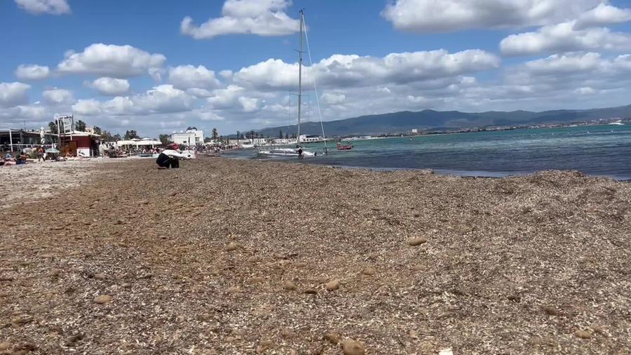 Domenica al Poetto tra traffico e maestrale: restano gli accumuli di ...