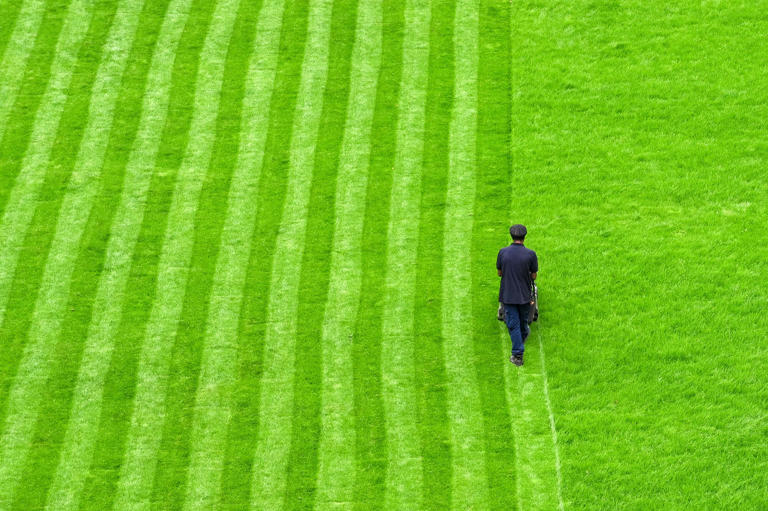How to mow lawn stripes like a professional groundsman