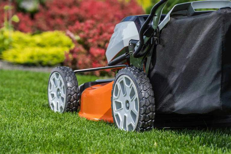 Why Bosch Rotak mowers outperform models that cost twice as much