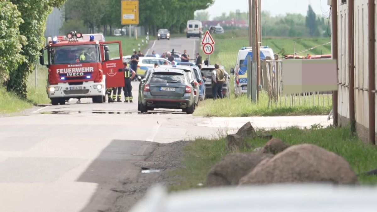 Tiger-Ausbruch in Schkeuditz: Helfer schwer verletzt – Tier erschossen