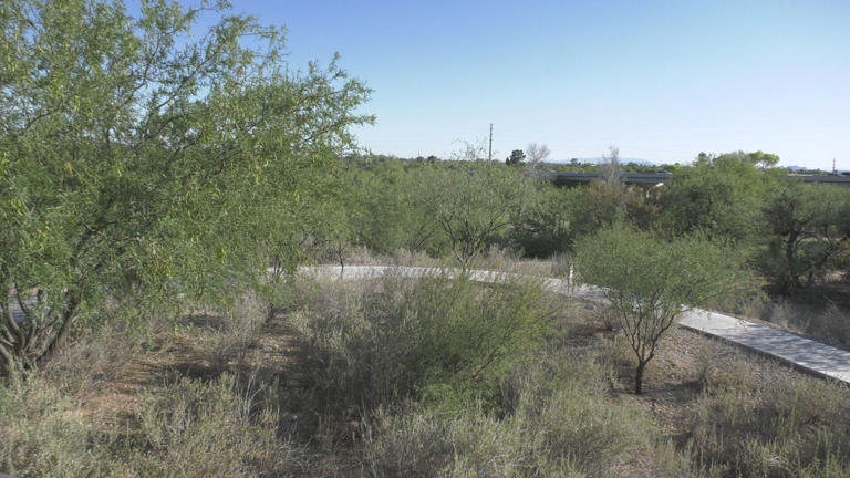 Human bone found in Catalina Foothills identified