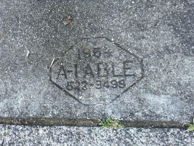 Bear’s-eye view of Alameda for May 17, 2026