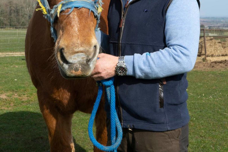 Countryfile's Adam Henson admits breaking rule after major change at ...