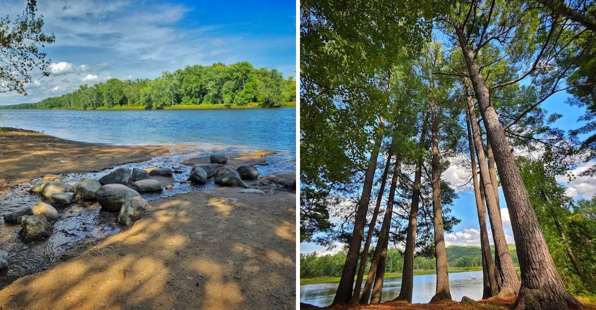 This underrated Minnesota state park delivers beautiful views without ...
