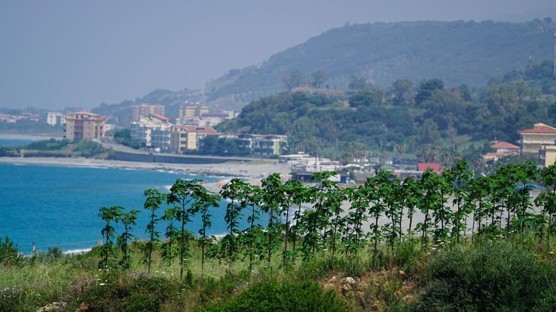 14 blue flag beaches in Italy you can visit this summer