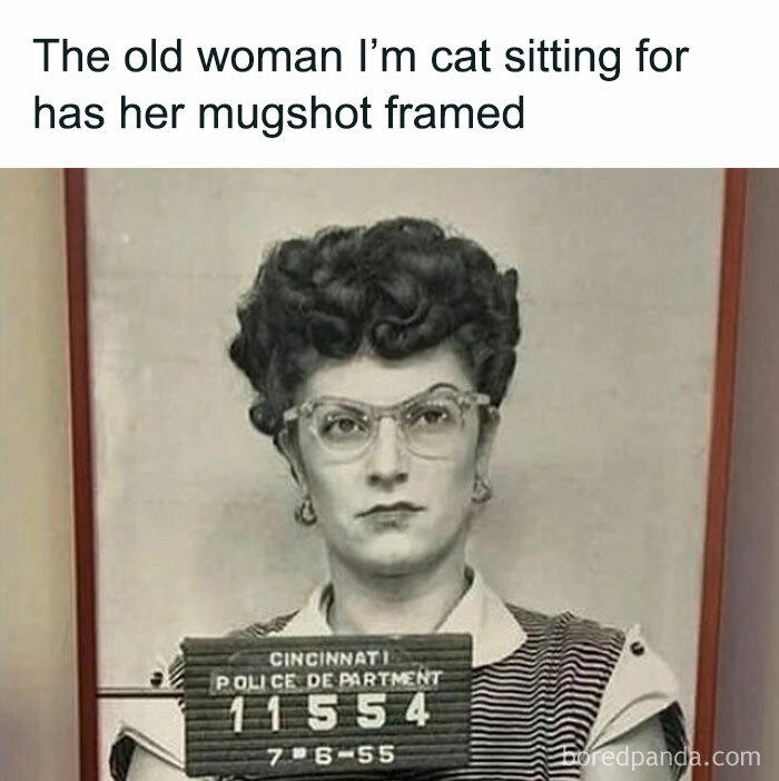 The Ultimate Collection 8 Hilarious Memes That Prove Women Are Comedy ...