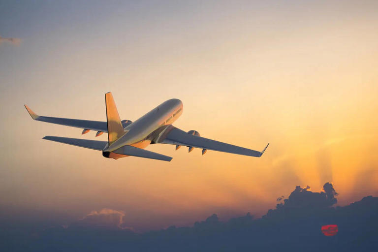 Chinese airline passenger spots Boeing 737 anomaly in viral video ...