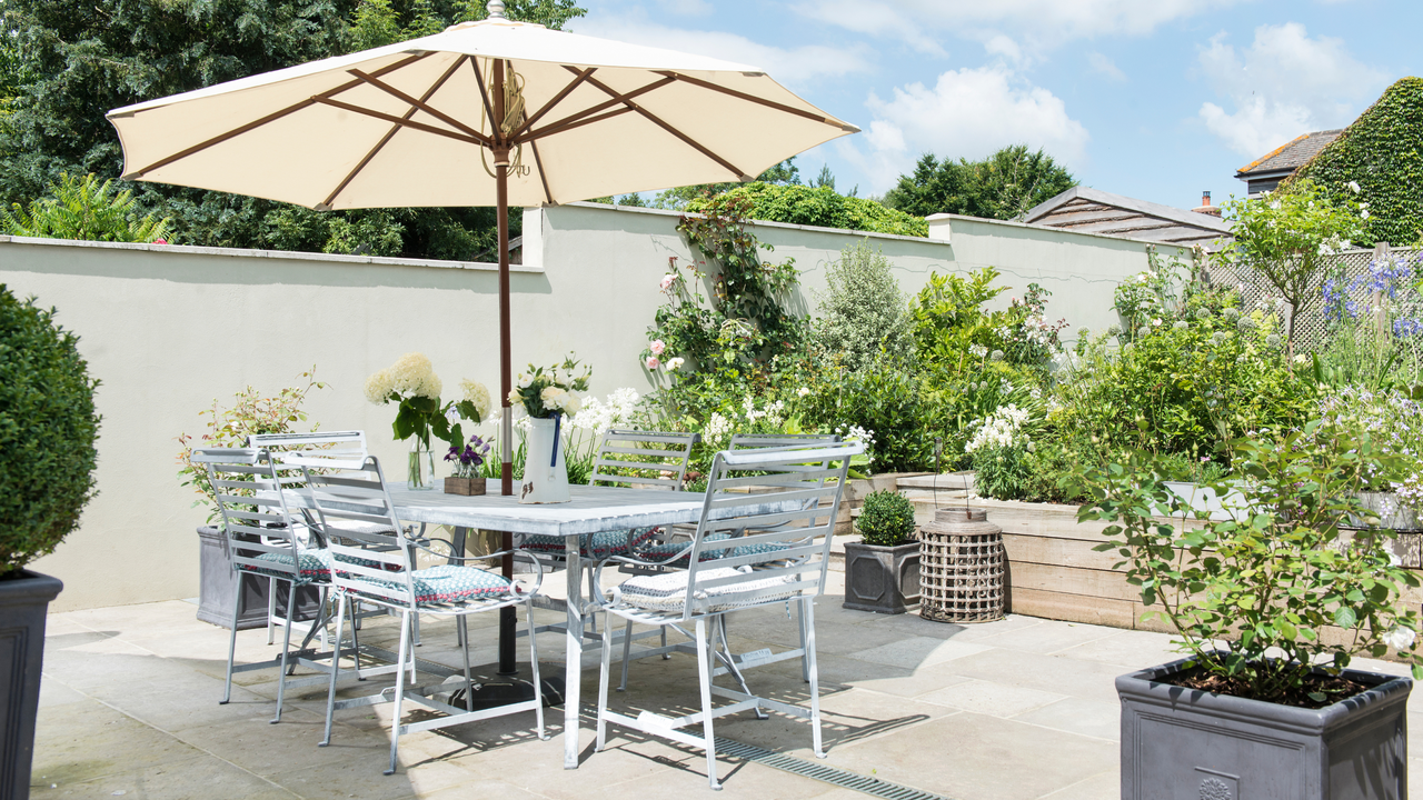These 5 low-maintenance plants will make your garden look like it ...