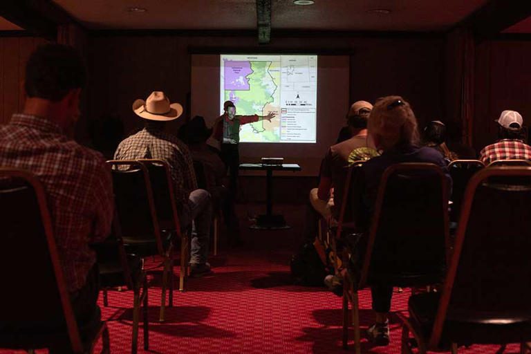 Wyoming cuts wolf hunt in half to buoy Yellowstone region’s disease ...