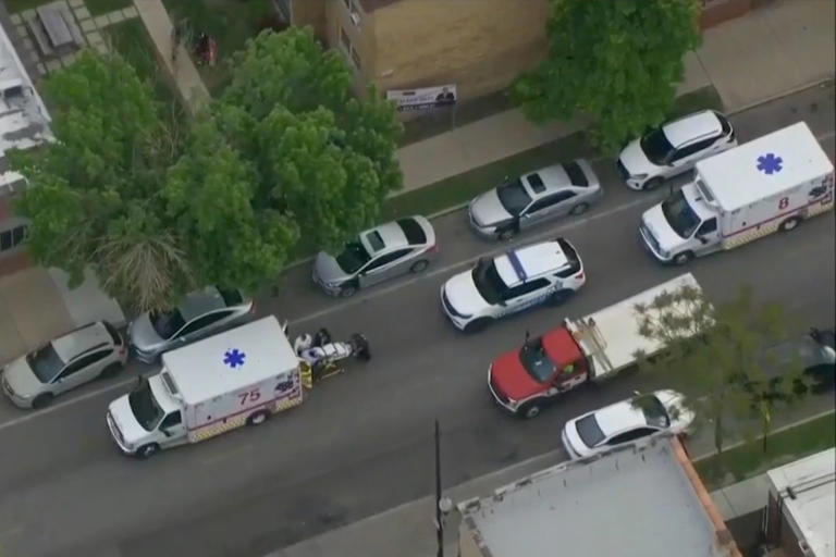 Chicago woman stabs infant girl to death with knife before jumping out ...