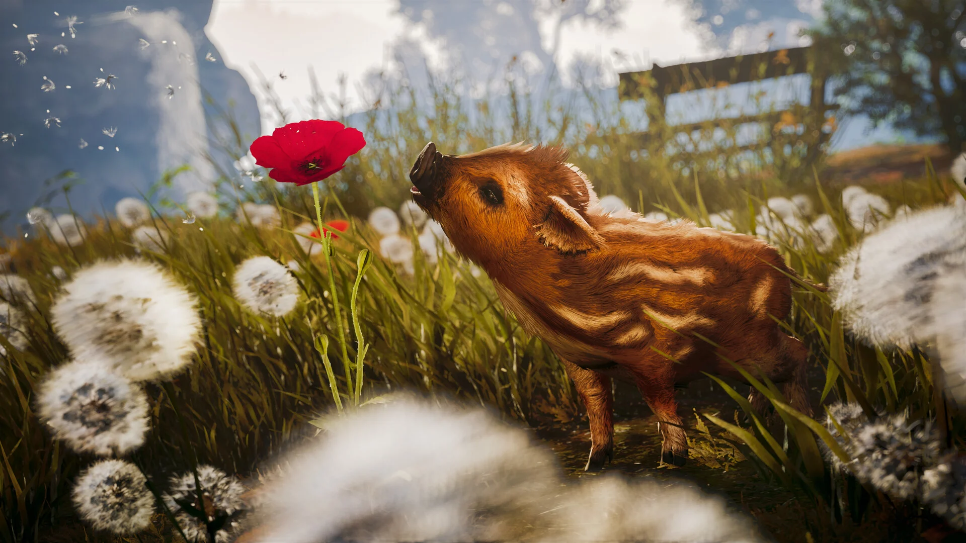 Adorable Adventures é o jogo do javali bebê que vai curar seu cansaço ...