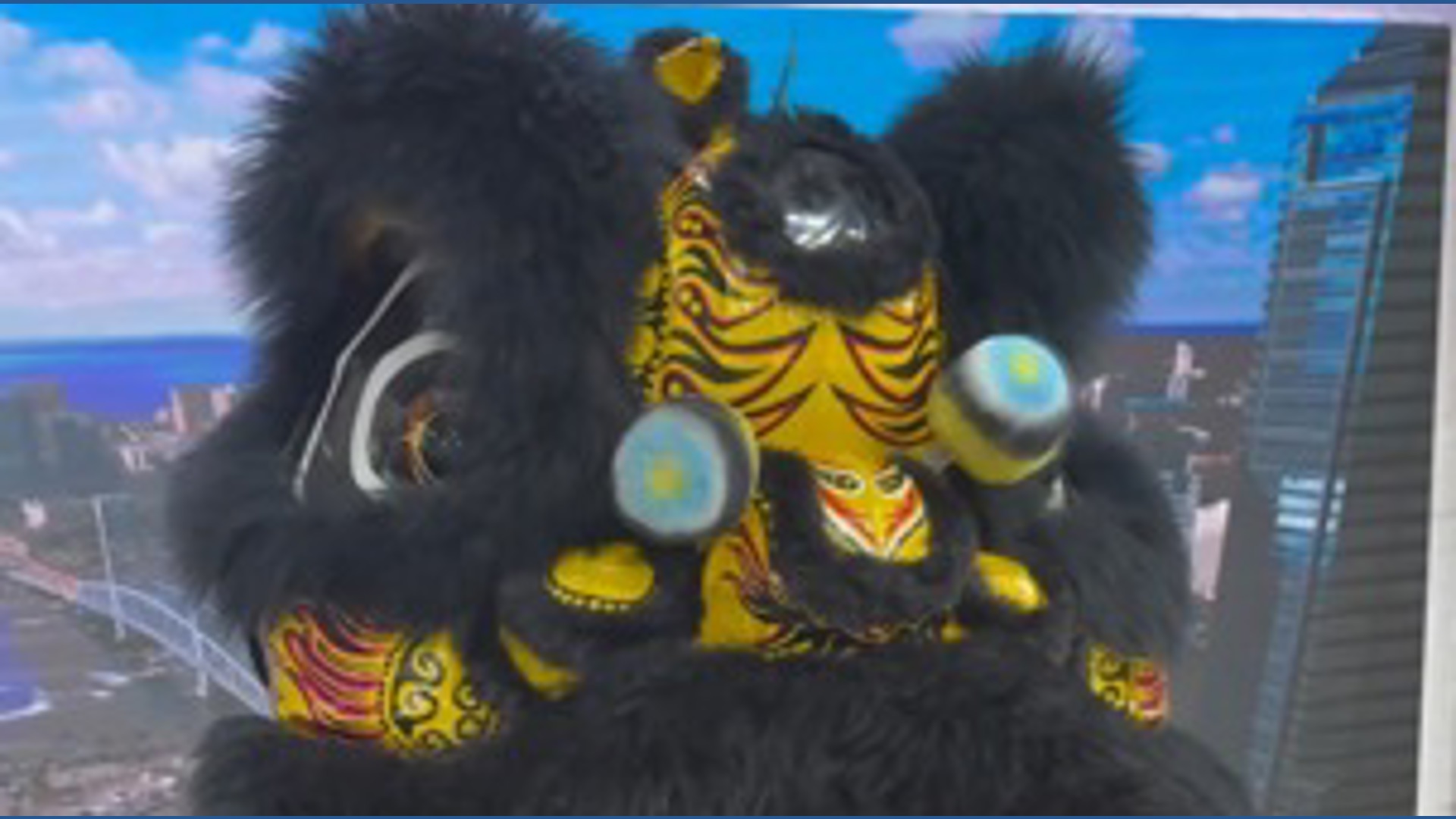 Lion Dance part of Asian culture brings good fortune, luck