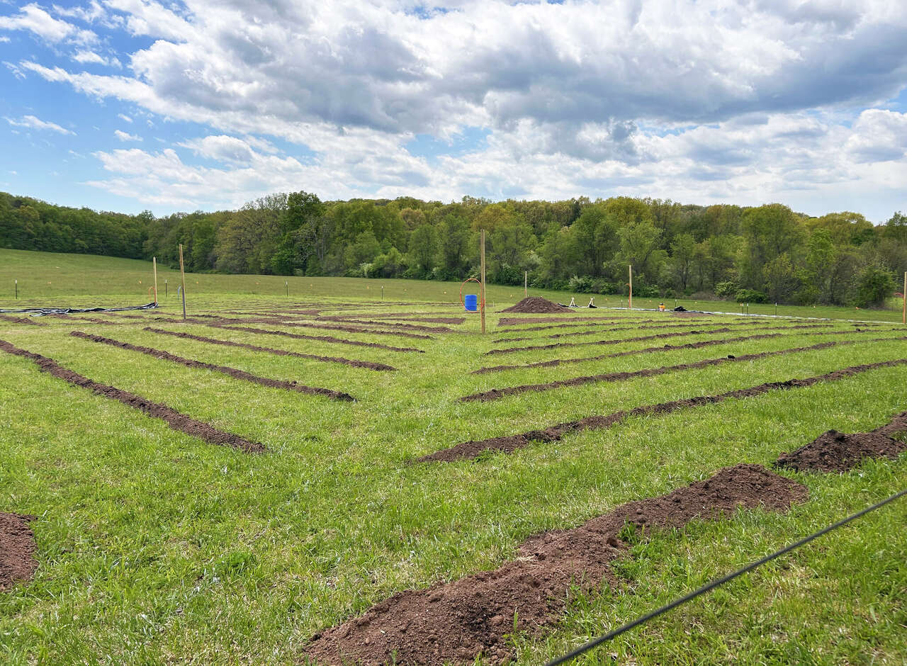 Middletown officials to consider other locations for flower farm to ...