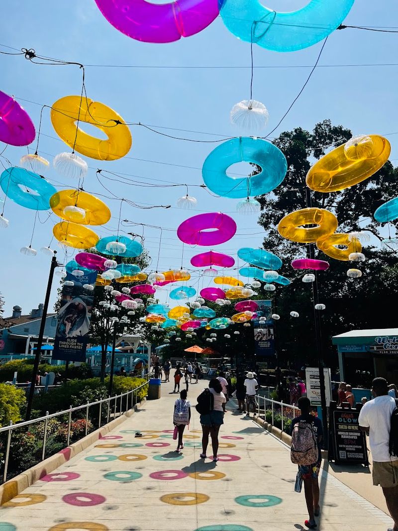 This massive themed water park in Virginia feels like a tropical ...