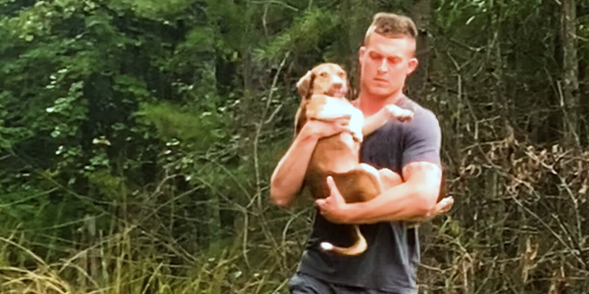 Puppies dumped on dirt road jump into rescuers’ arms when they realize ...