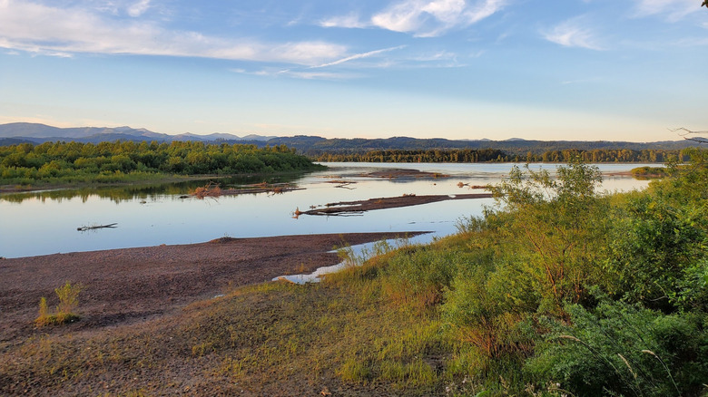 Oregon's 1,500-acre dog park paradise just outside Portland offers off ...